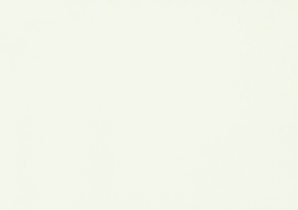 W 960 SM Белый классический 2800х2070х16мм Egger EXTRAVERT NORDECO ...